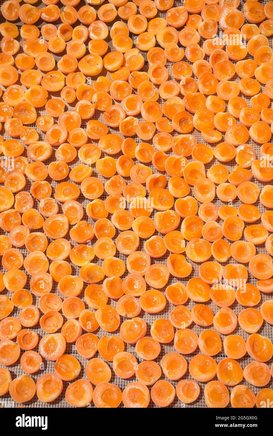 Drying in sun hi-res stock photography and images - Alamy