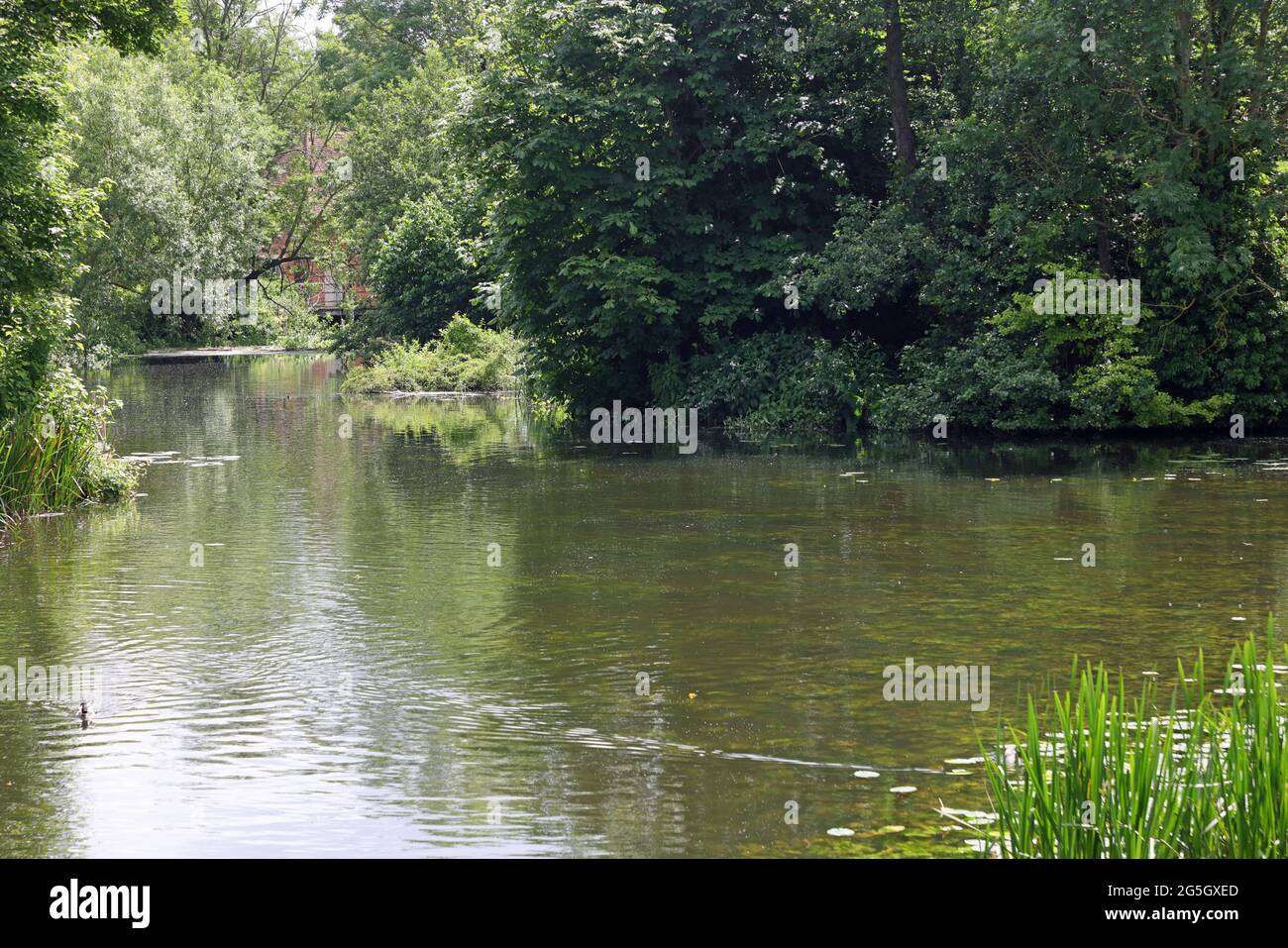 Suffolk England River Stour High Resolution Stock Photography and ...