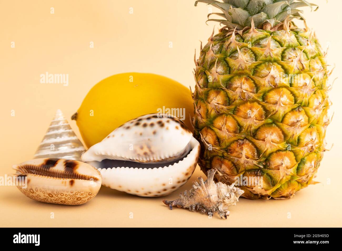 Ripe pineapple, melon, seashells on orange pastel background. Side view ...