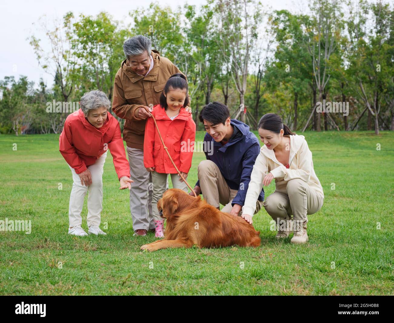 Happy family of five and pet dog playing in the park high quality photo ...