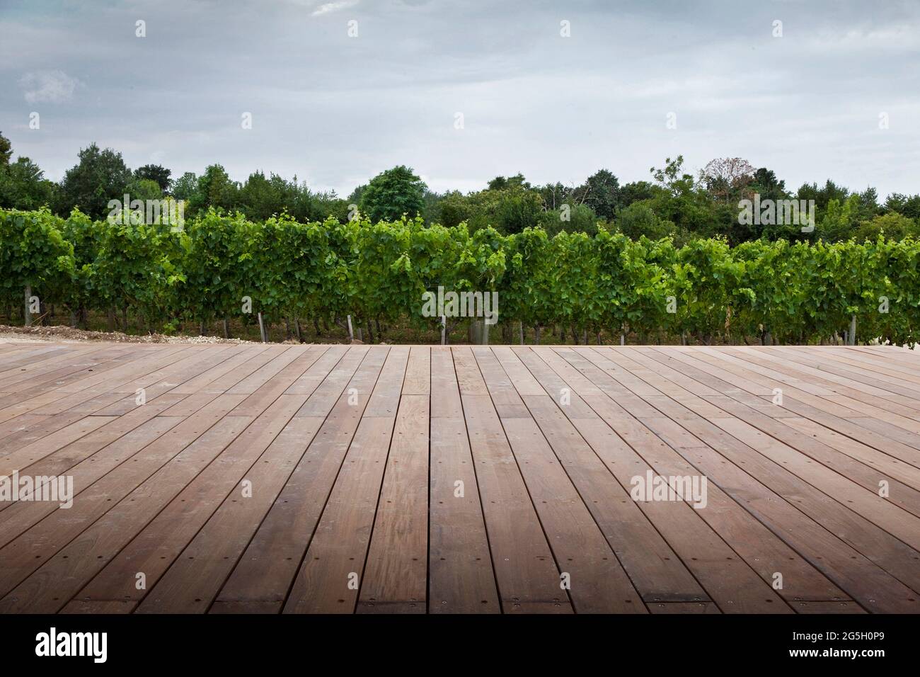 Wooden terrace facing vineyards Stock Photo - Alamy