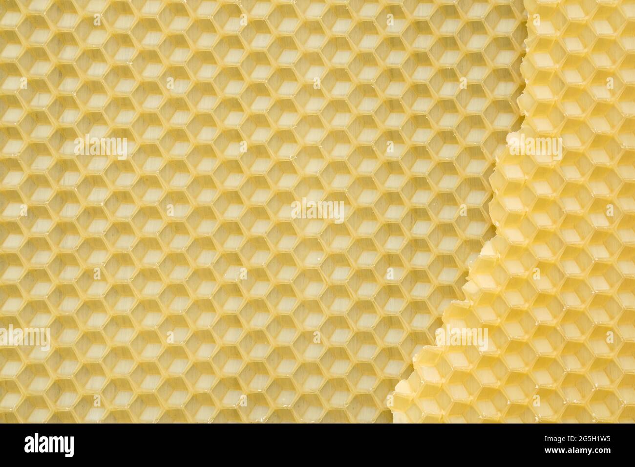 Natural beeswax texture. Honeycombs bee background. Wax base for honey ...