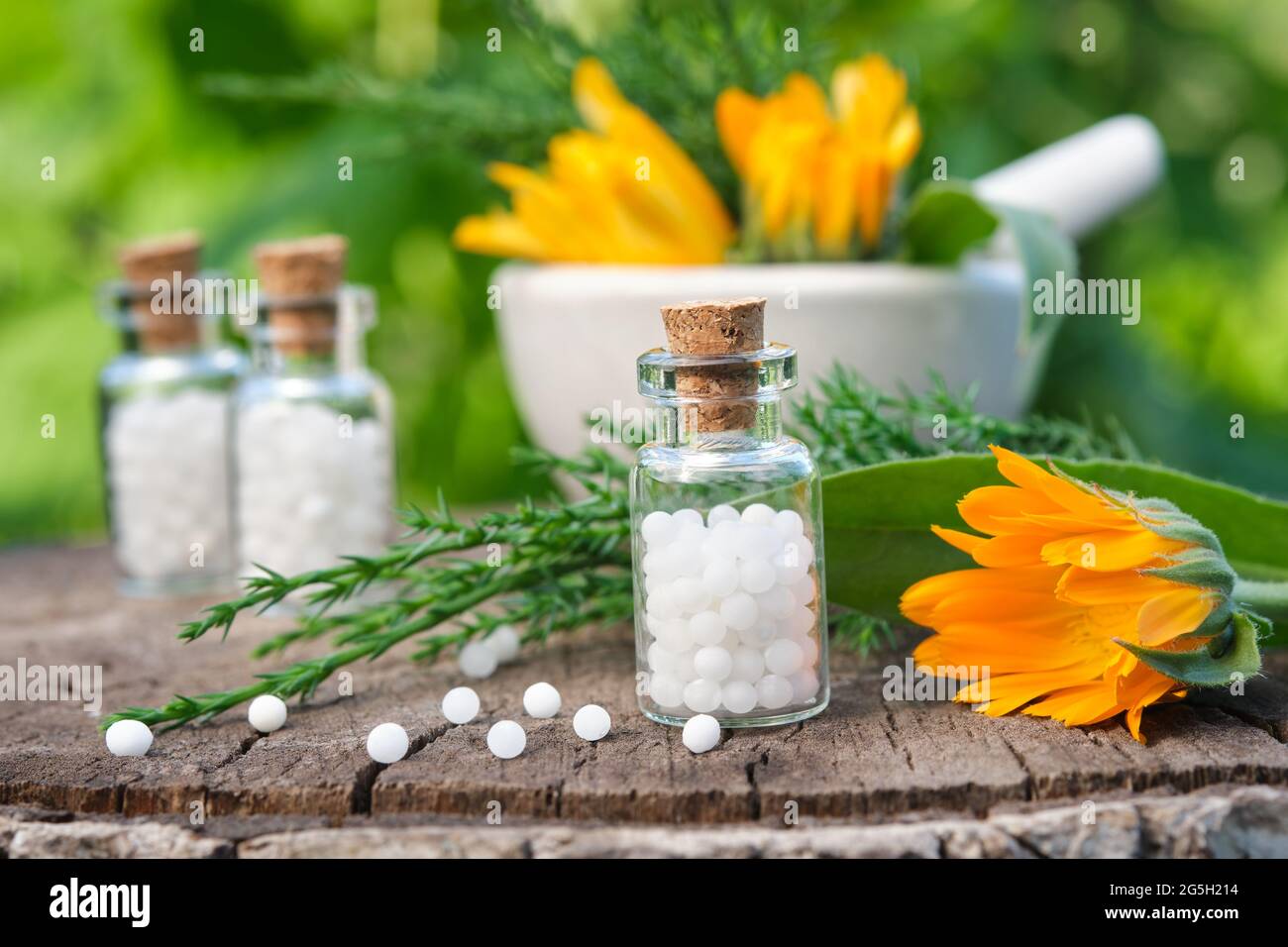 Bottle of homeopathy granules. Homeopathic remedy - Calendula ...