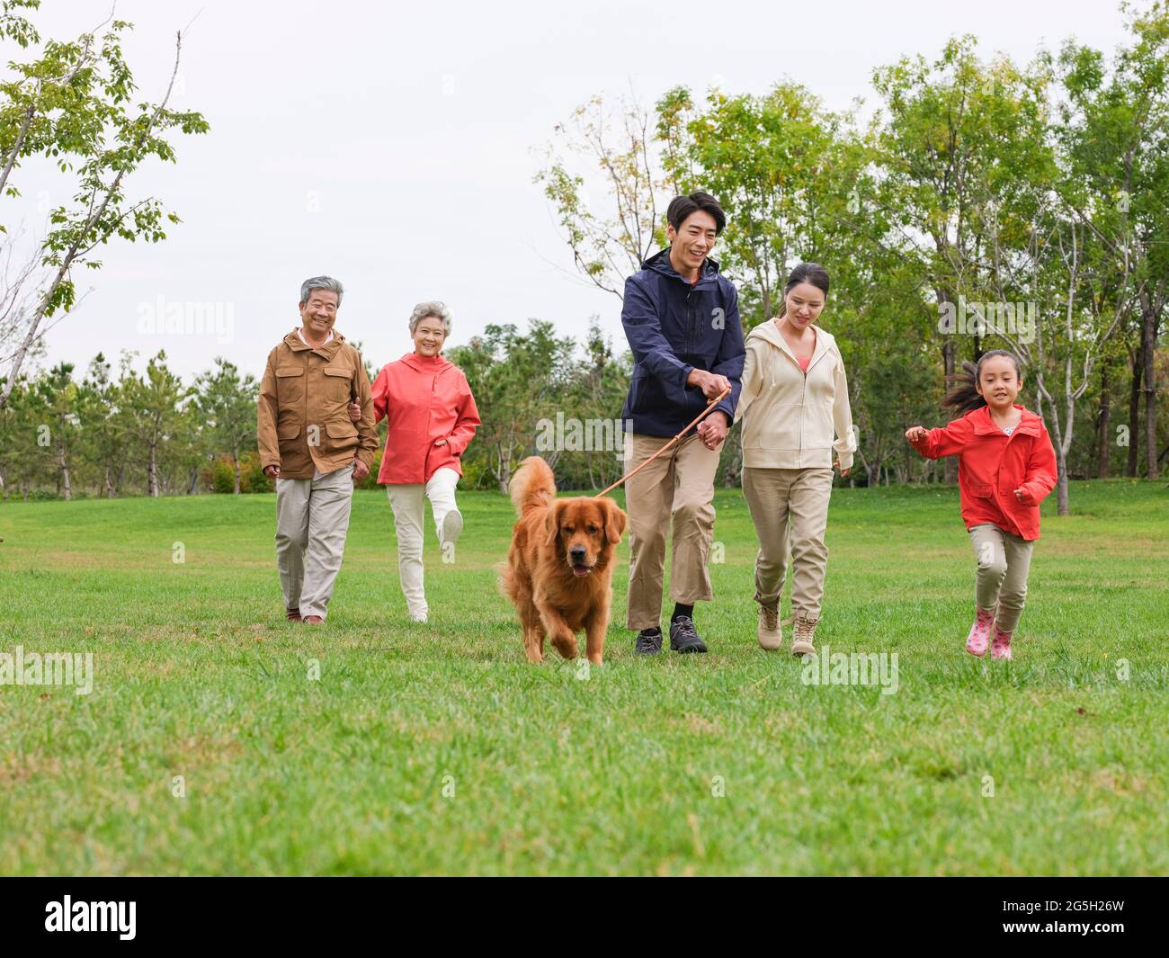 Man Walking Five Dogs High Resolution Stock Photography and Images - Alamy