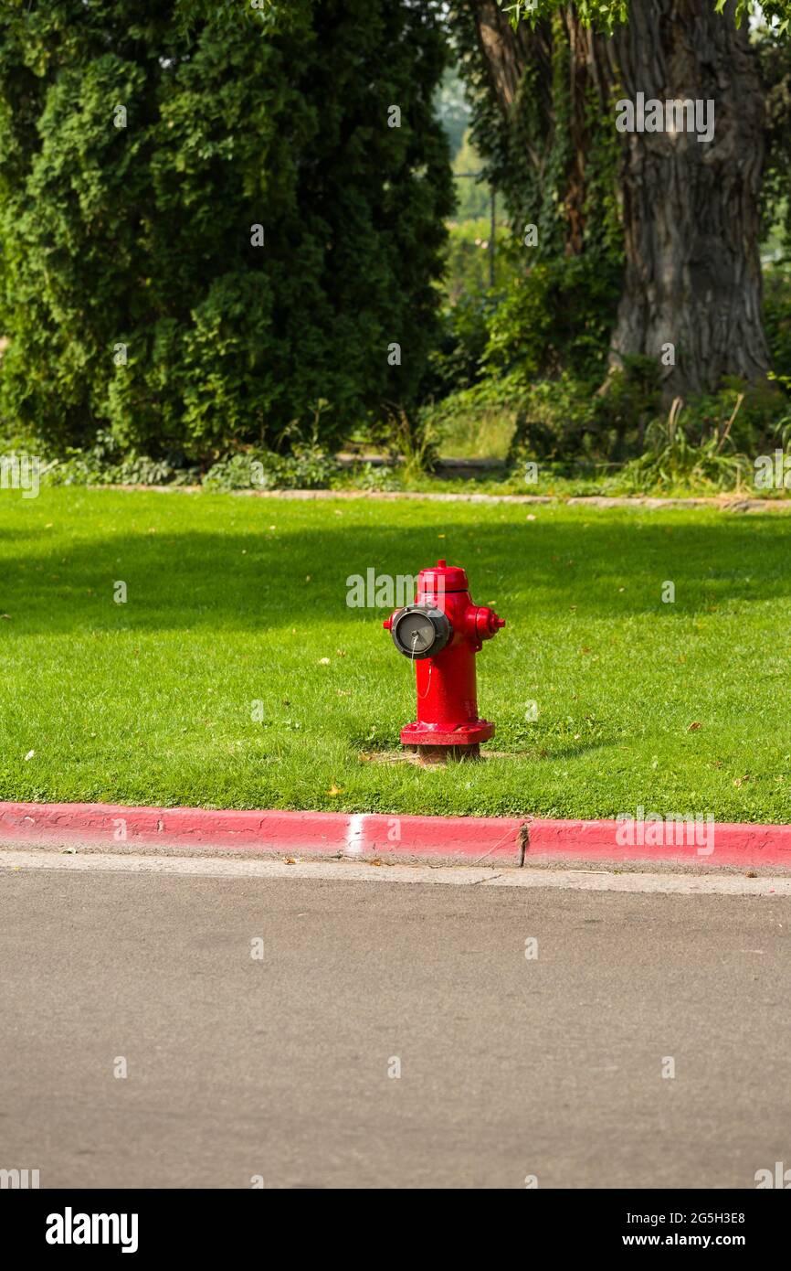 Red fire hydrant at the edge of a green city park Stock Photo - Alamy