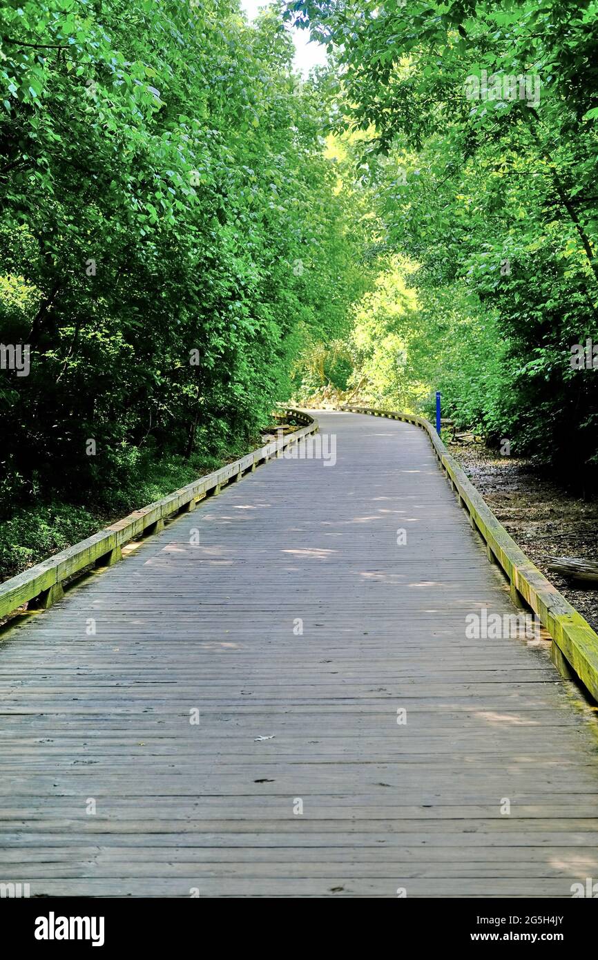 Green light trail hi-res stock photography and images - Alamy