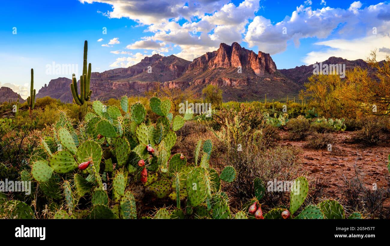 Superstition Mountains, Arizona, USA Stock Photo - Alamy