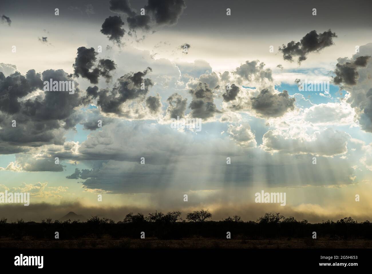 Monsoon season in Arizona Stock Photo - Alamy