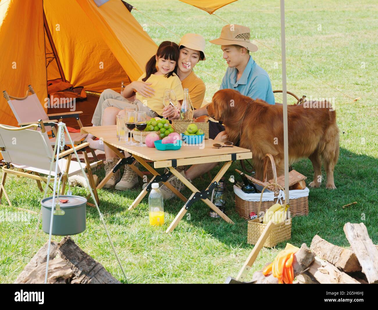 Happy family of three and pet dog have a picnic outdoors high quality ...