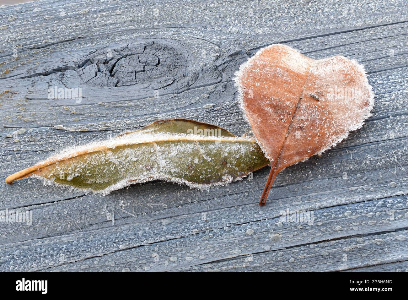 Flake fall hi-res stock photography and images - Alamy