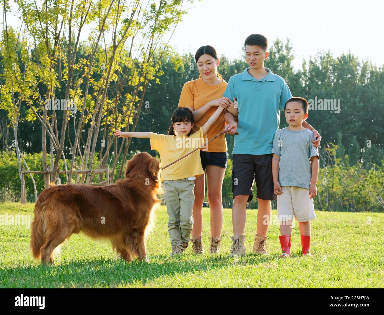 Happy family of four and pet dog in the park high quality photo Stock ...