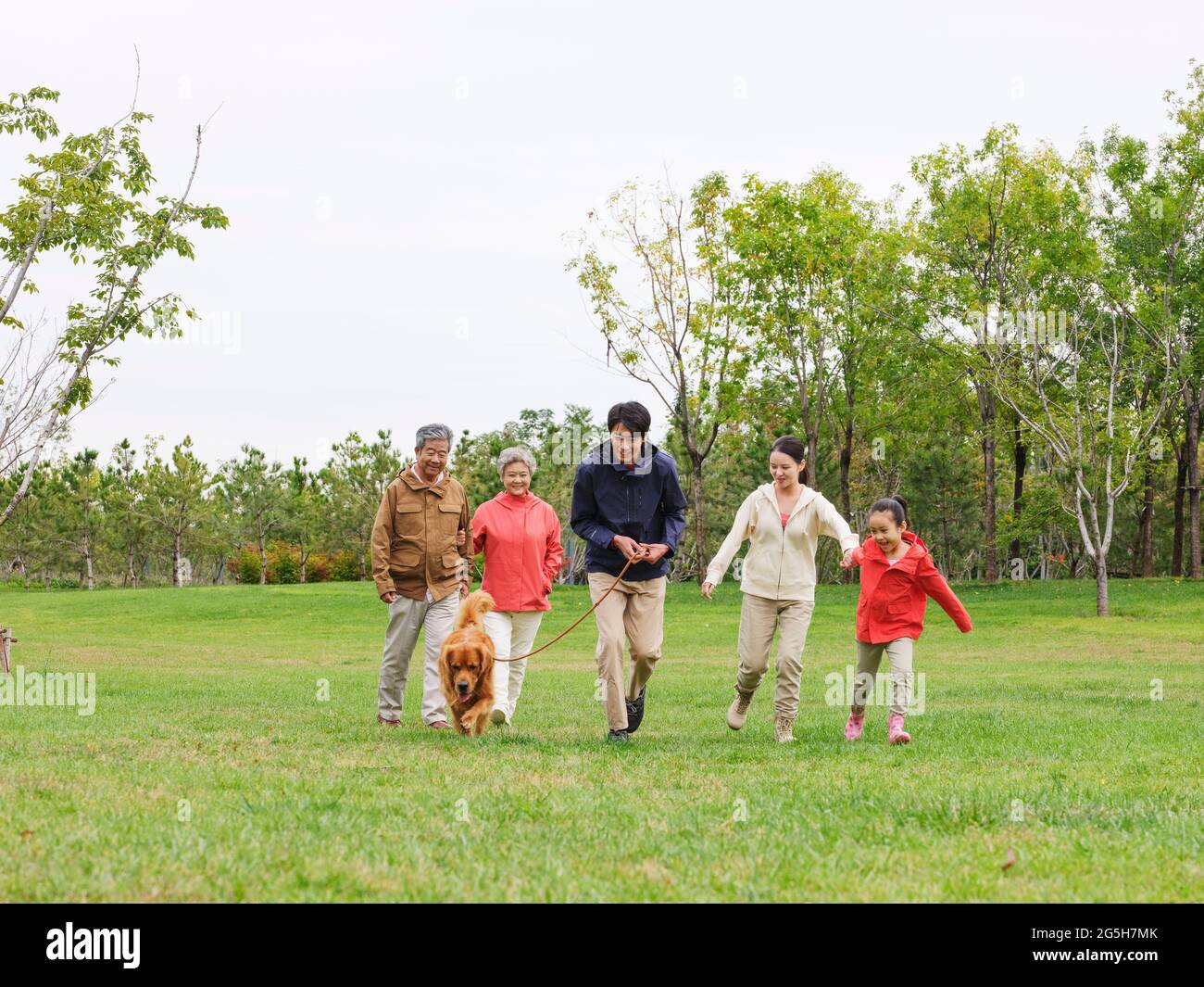 Man Walking Five Dogs High Resolution Stock Photography and Images - Alamy