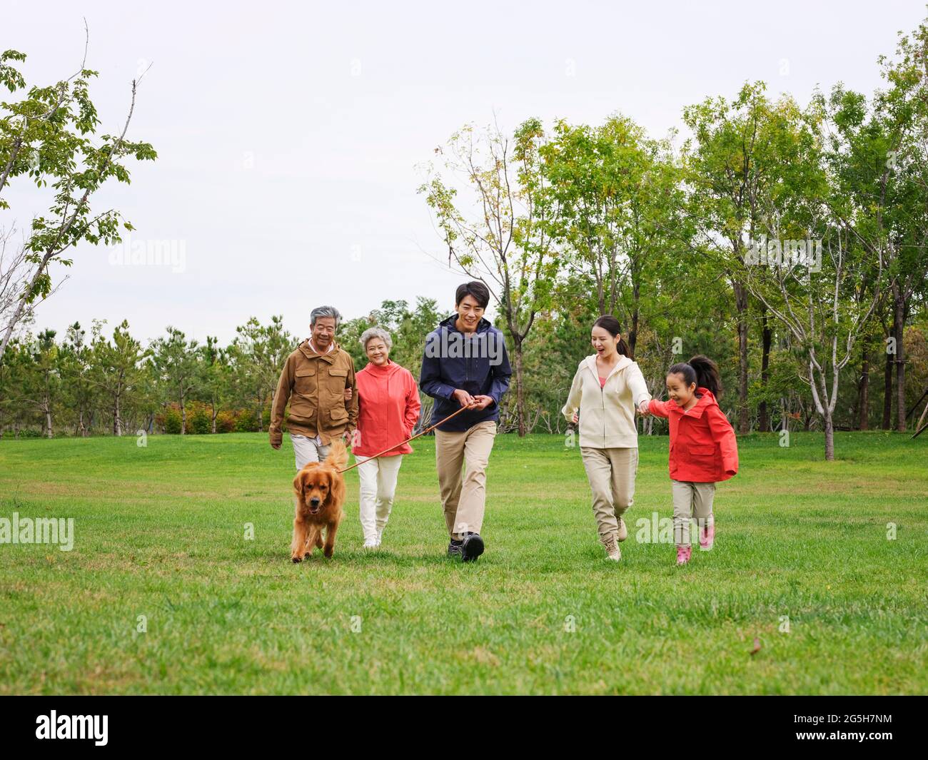 Man Walking Five Dogs High Resolution Stock Photography and Images - Alamy