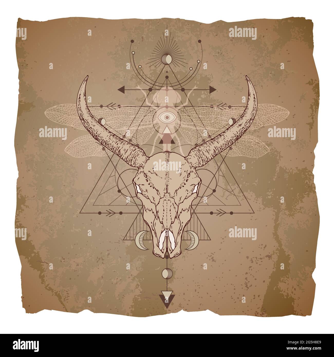 Vector illustration with hand drawn buffalo skull, dragonfly and Sacred ...