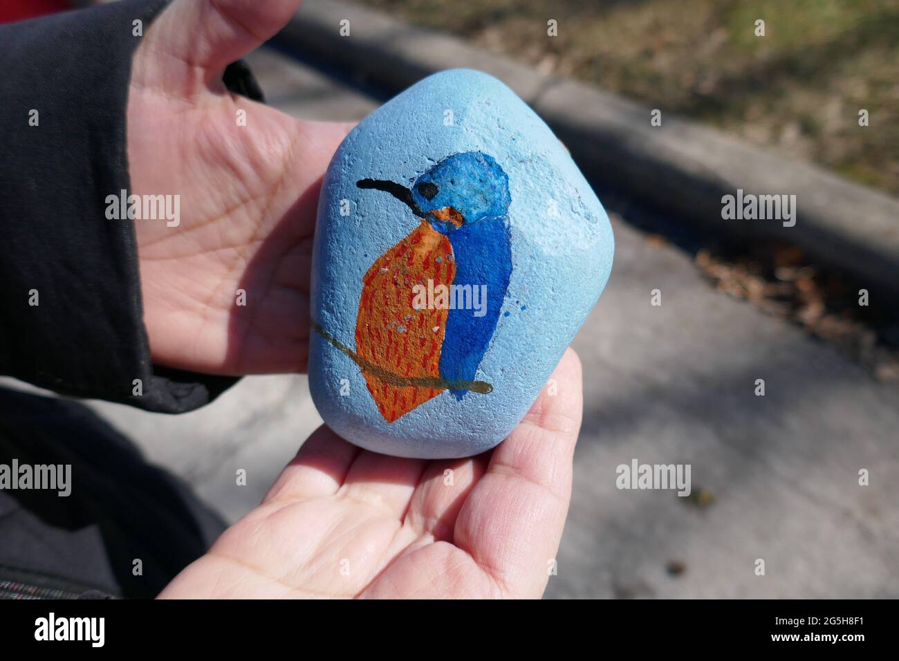 Blue bird painted on kindness rock held up by two hands Stock Photo - Alamy