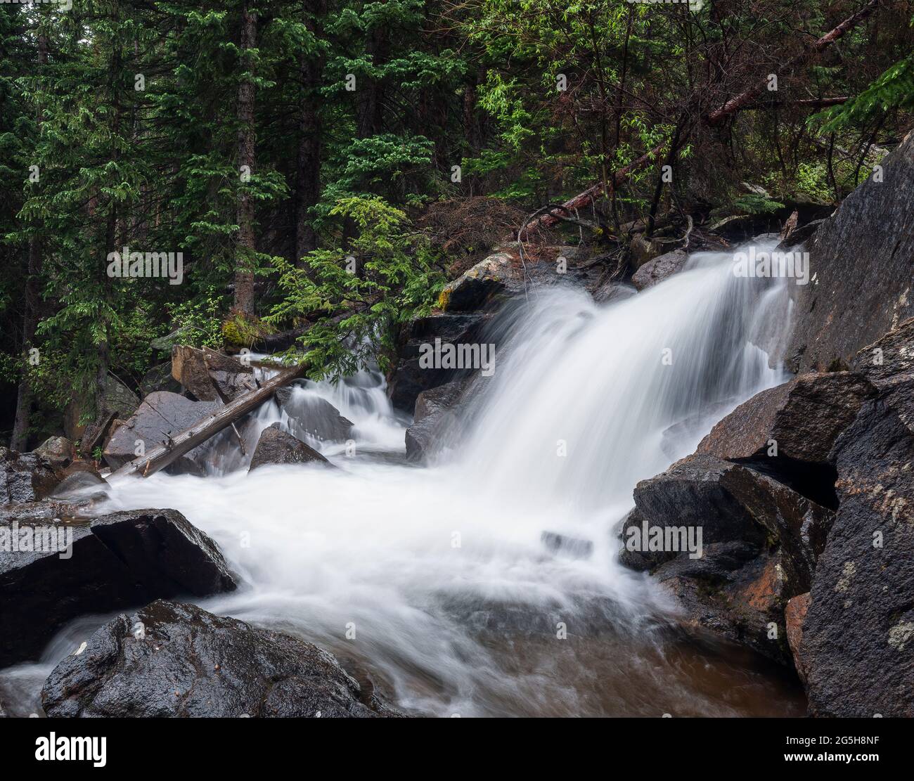 Beautiful vivid hi-res stock photography and images - Alamy