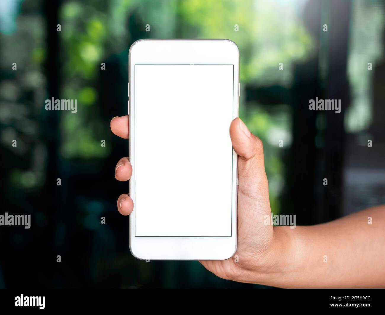 Mockup image of phone. Close-up white blank screen on mobile phone in ...