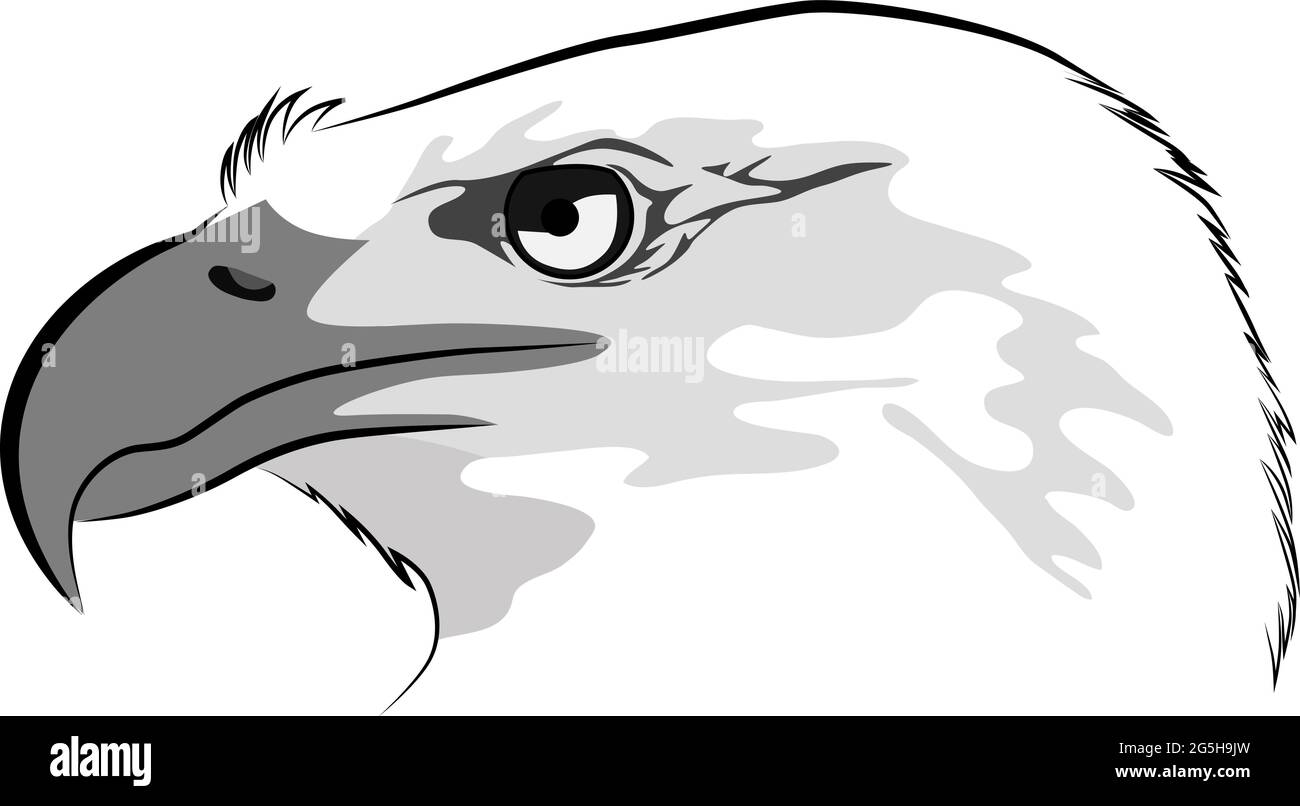 Predator image Stock Vector Images - Alamy