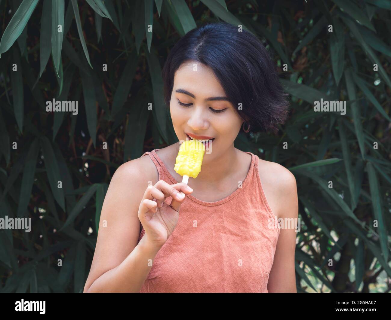 Palm tree tank top hi-res stock photography and images - Alamy