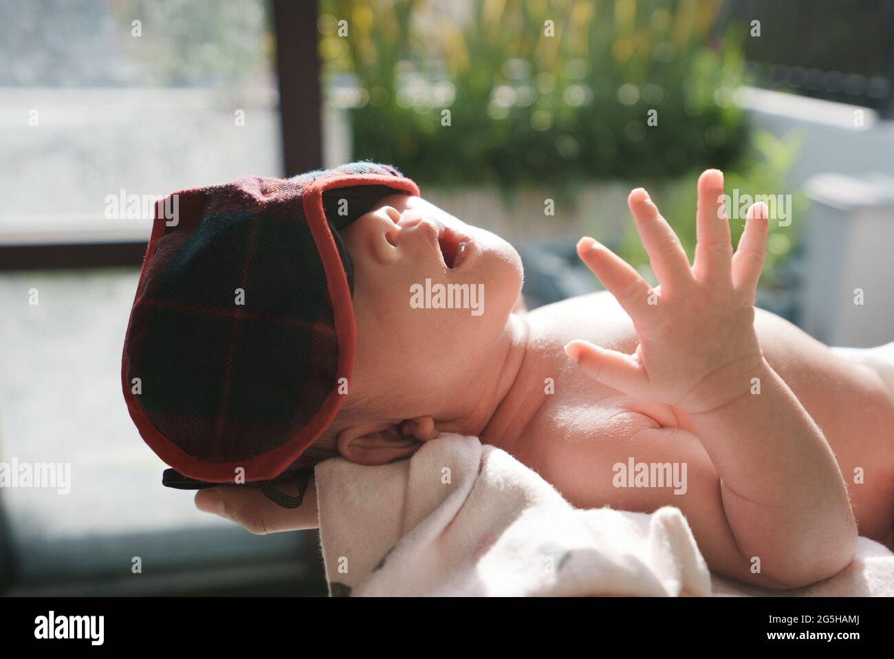 Born to shine hi-res stock photography and images - Alamy