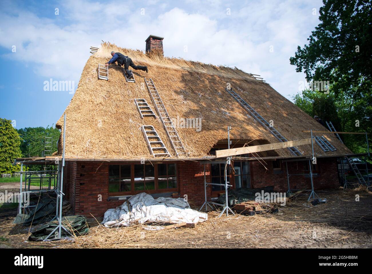 08 June 2021, Lower Saxony, Dötlingen: Peter Heinrich, master thatcher ...