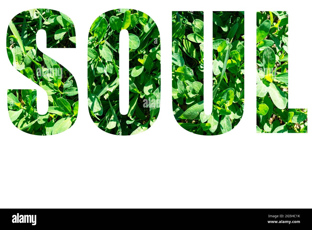 Word soul Cut Out Stock Images & Pictures - Alamy