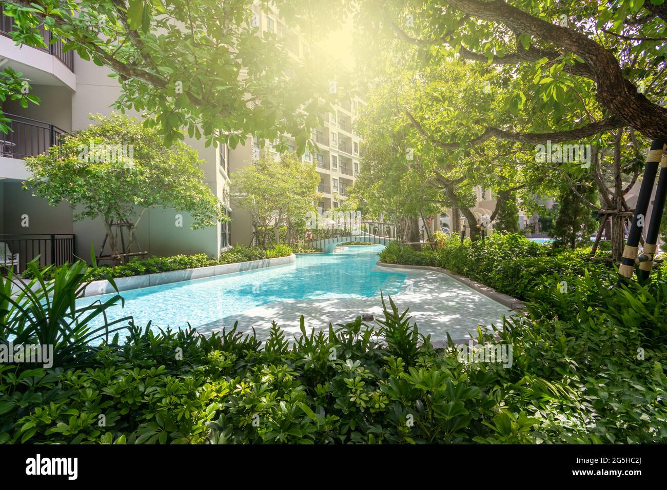 Swimming pool in the shady garden and sunlight under the trees Stock ...