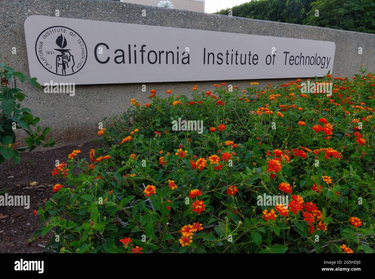 Sign surrounded by flowers at the entrance to Caltech Stock Photo - Alamy