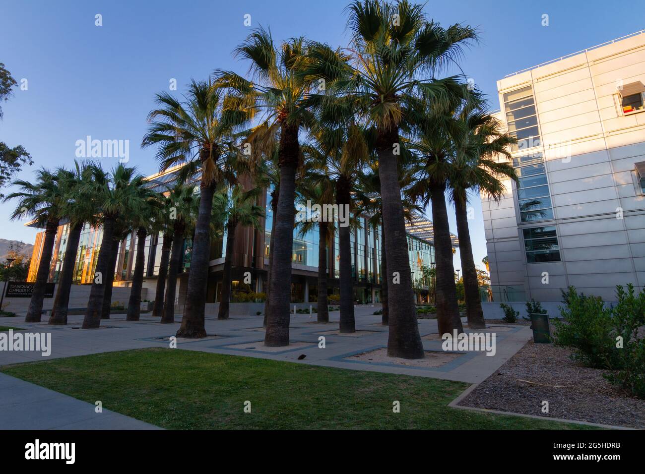 Neuroscience building hi-res stock photography and images - Alamy