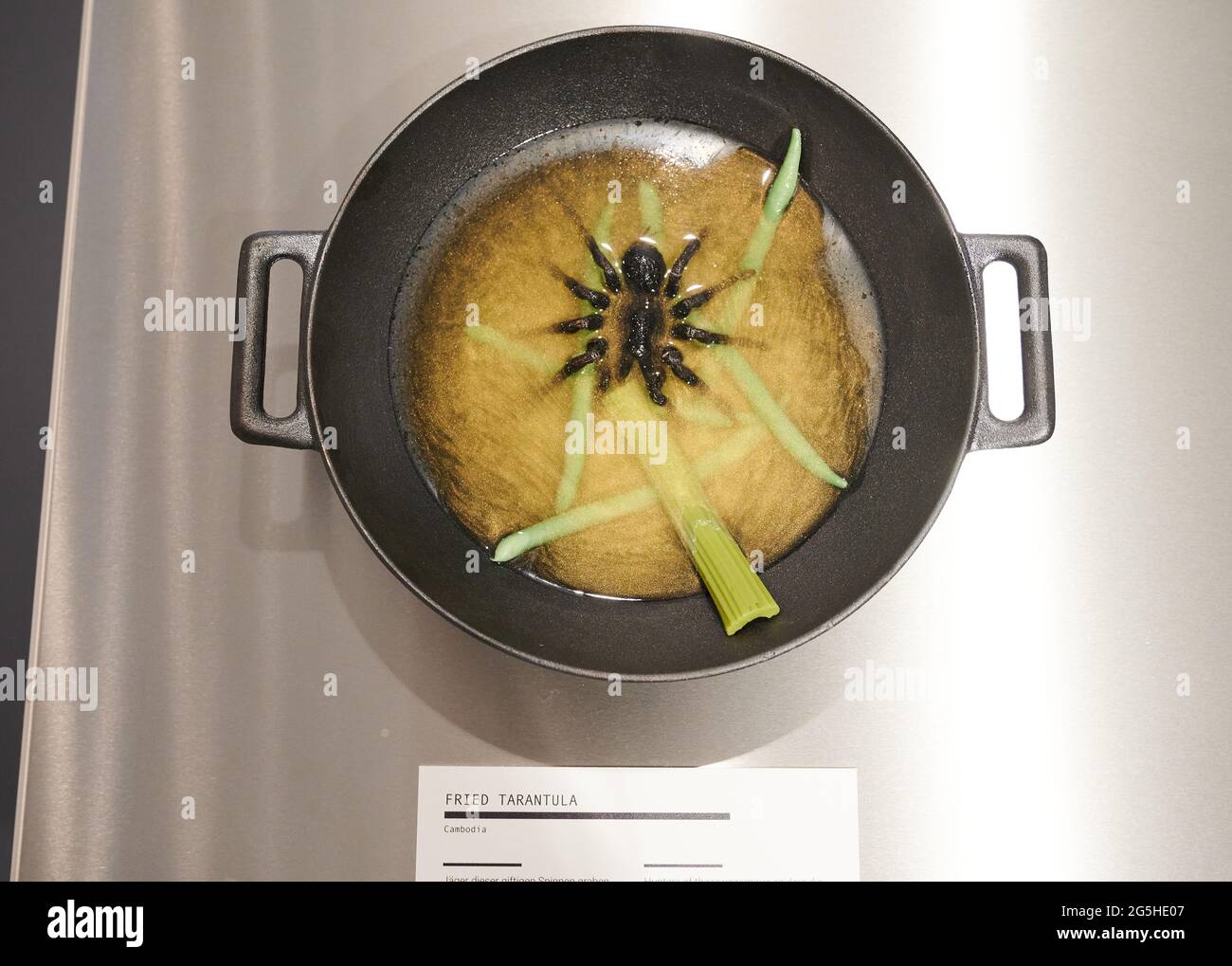 Berlin, Germany. 11th June, 2021. A tarantula lies in a soup in the ...