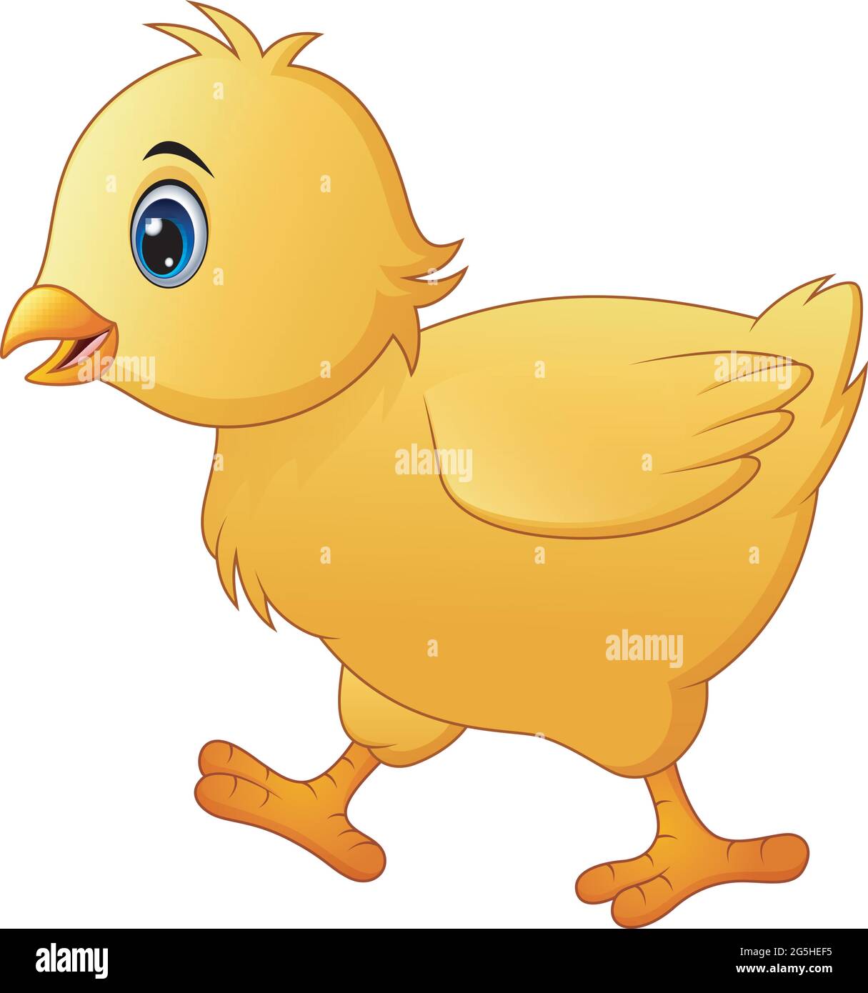 Cute little baby chick isolated on a white background Stock Vector ...