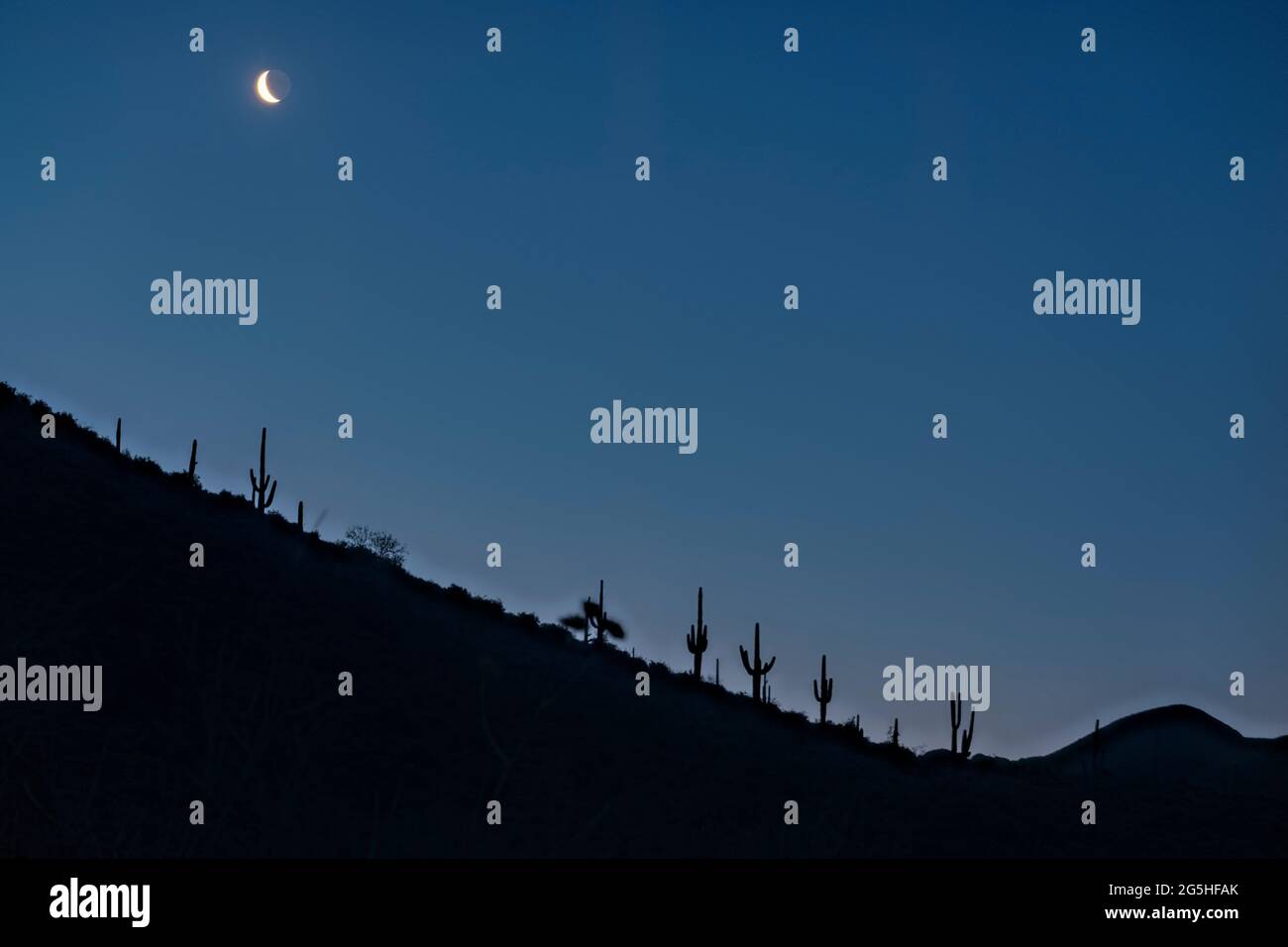 Beautiful moonrise hi-res stock photography and images - Alamy