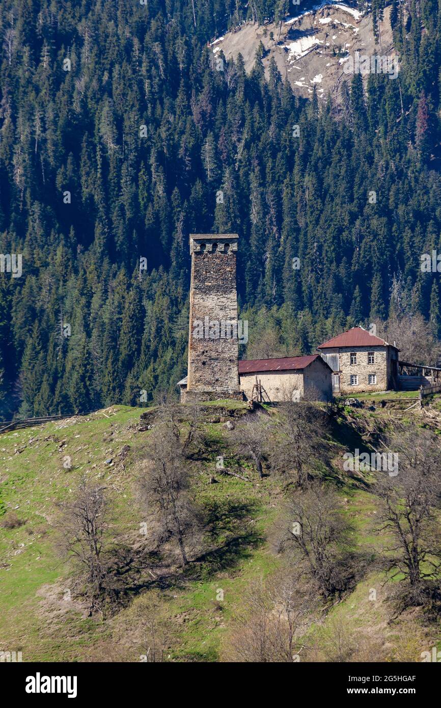 Traditional ancient Svan Towers in Upper Svaneti, Caucasus. Traveling ...