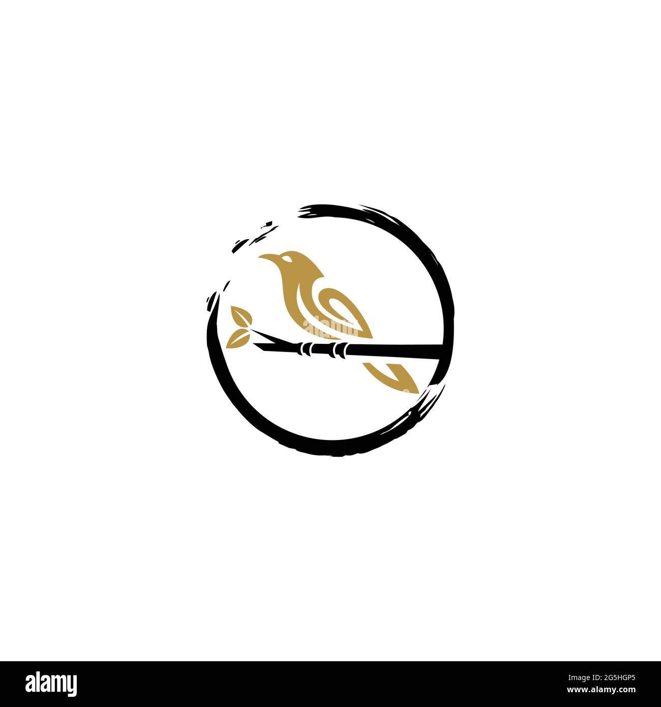 Chinese Walnut Tree High Resolution Stock Photography and Images - Alamy