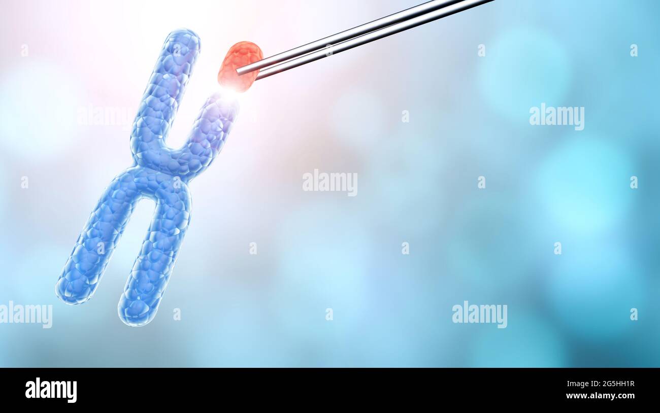 X chromosome break or Replace. Genetic engineering, GMO and gene ...