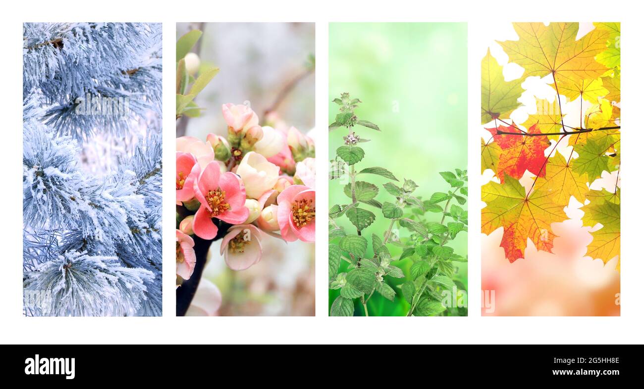 Spring scenes Cut Out Stock Images & Pictures - Alamy