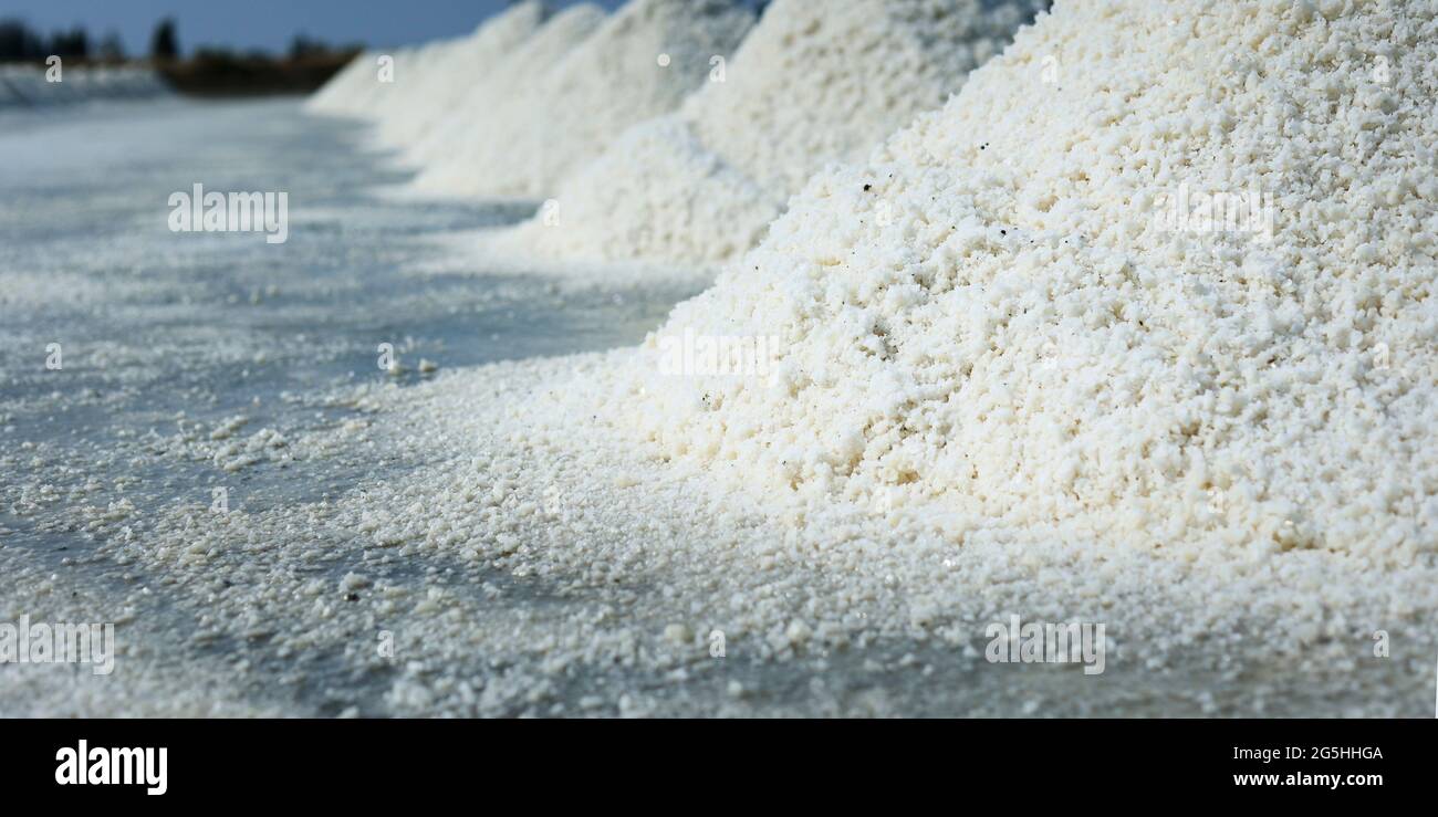cone of salt in salt field at Ban Laem-Thailand Stock Photo - Alamy