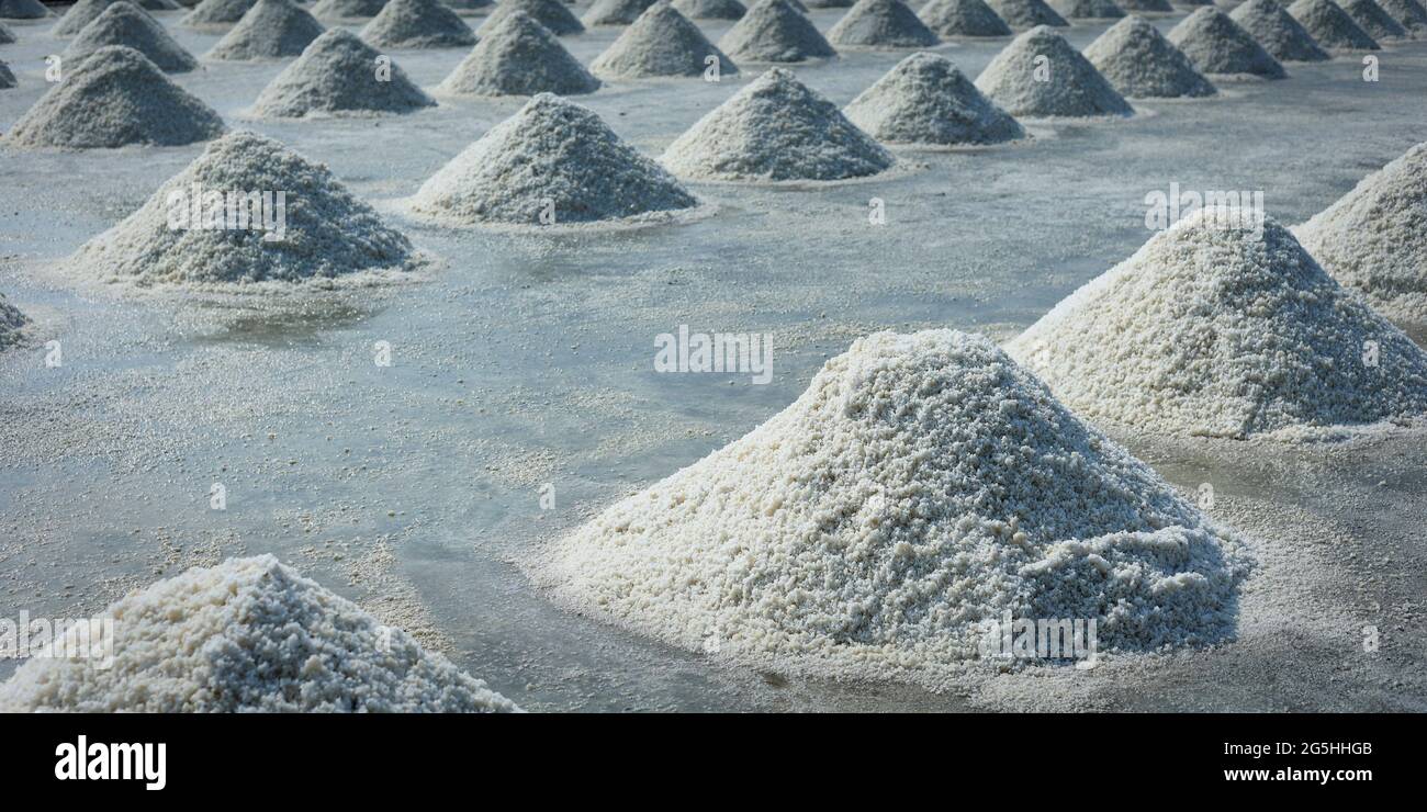 cone of salt in salt field at Ban Laem-Thailand Stock Photo - Alamy