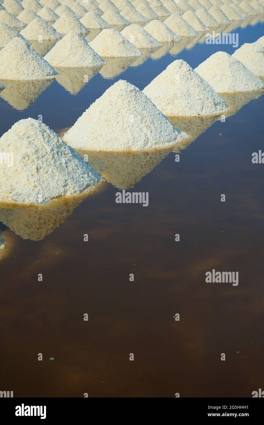 cone of salt in salt field at Ban Laem-Thailand Stock Photo - Alamy