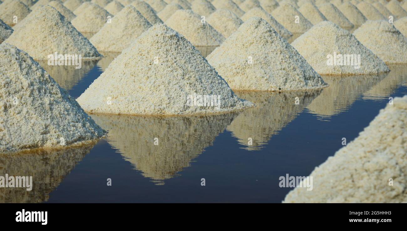cone of salt in salt field at Ban Laem-Thailand Stock Photo - Alamy