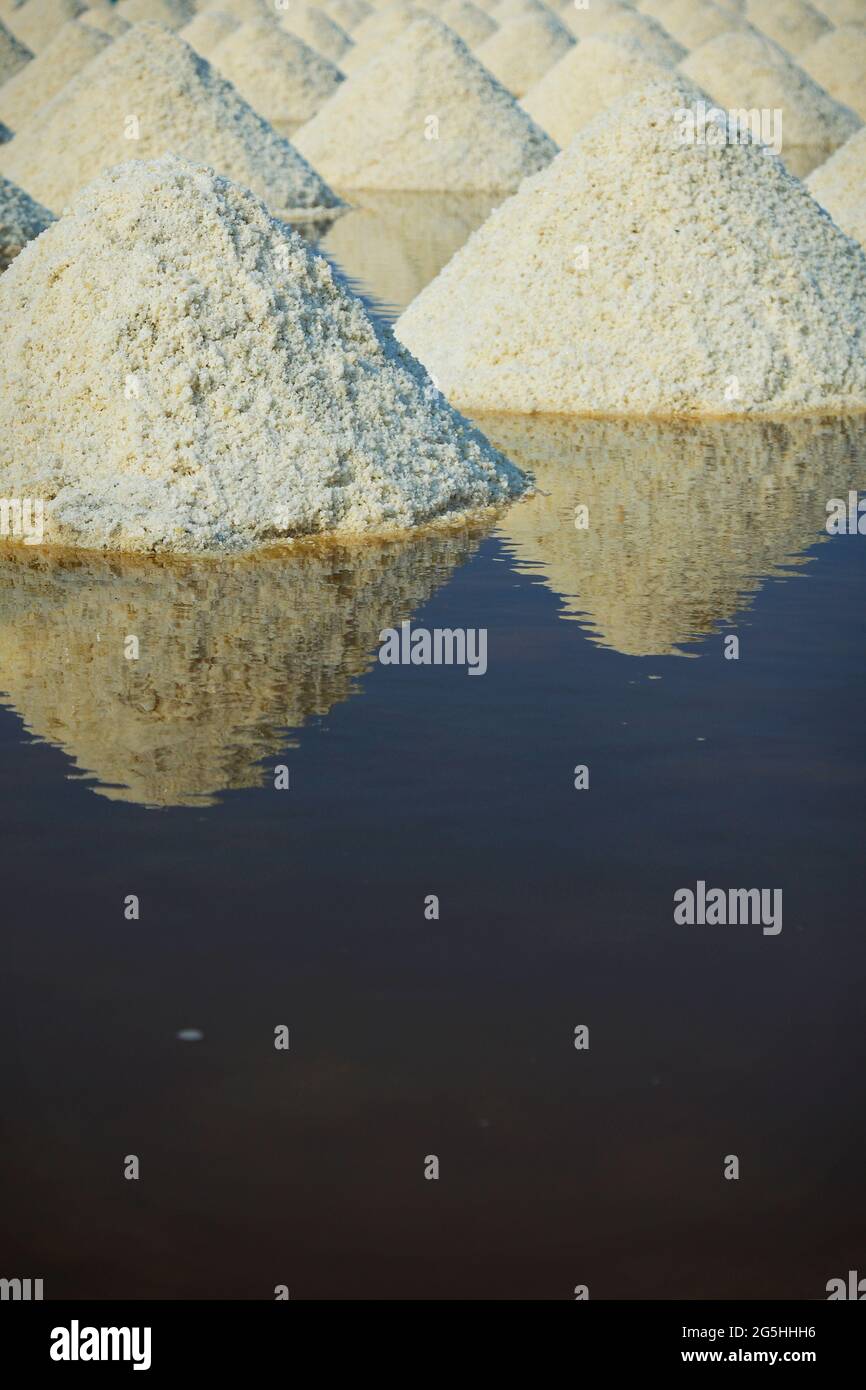 cone of salt in salt field at Ban Laem-Thailand Stock Photo - Alamy