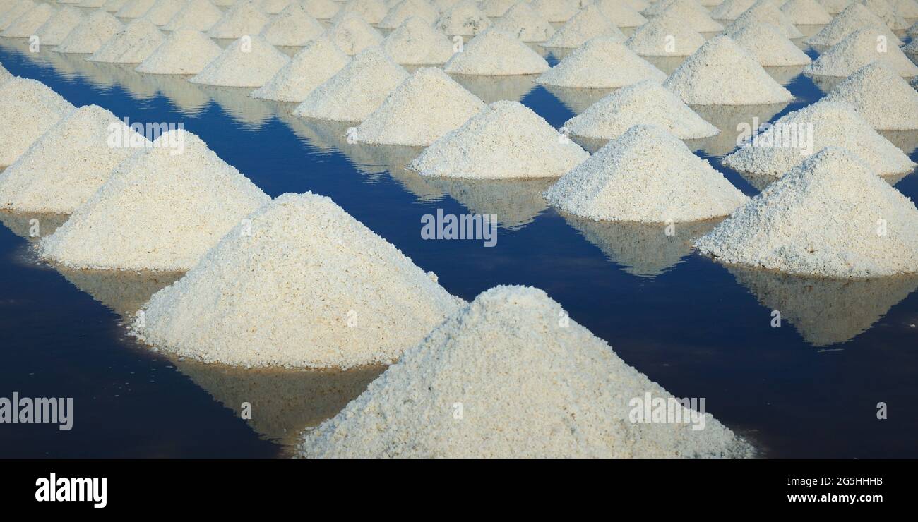 Salt farm field hi-res stock photography and images - Alamy