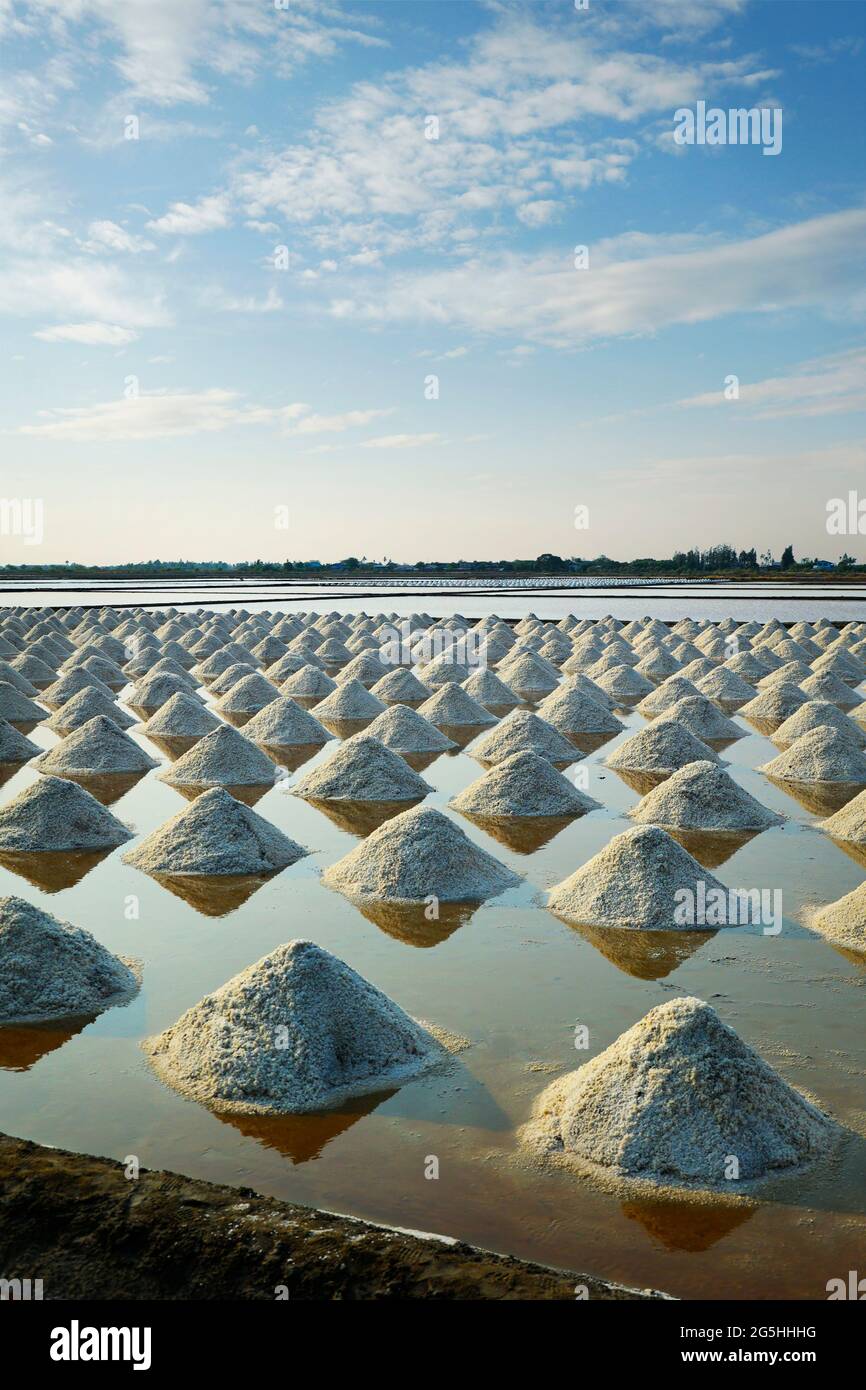 Salt industry korea hi-res stock photography and images - Alamy