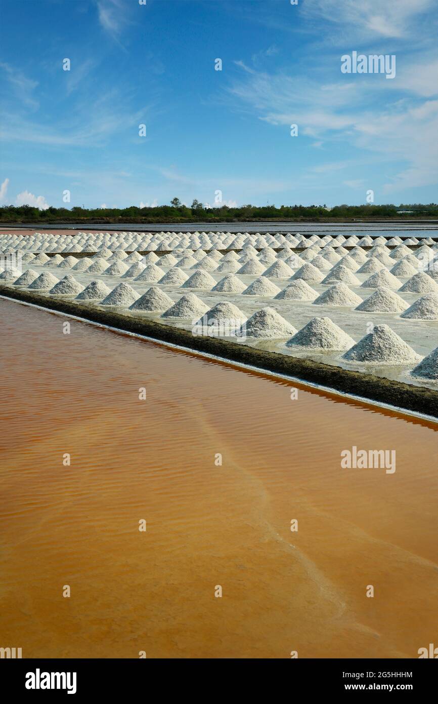 cone of salt in salt field at Ban Laem-Thailand Stock Photo - Alamy