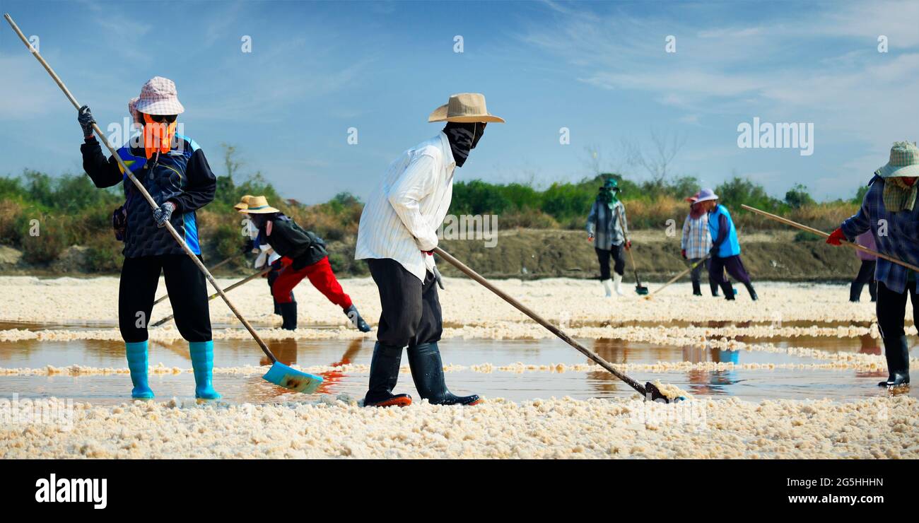 Worker Harvesting salt in salt field at Ban Laem-Thailand Stock Photo ...