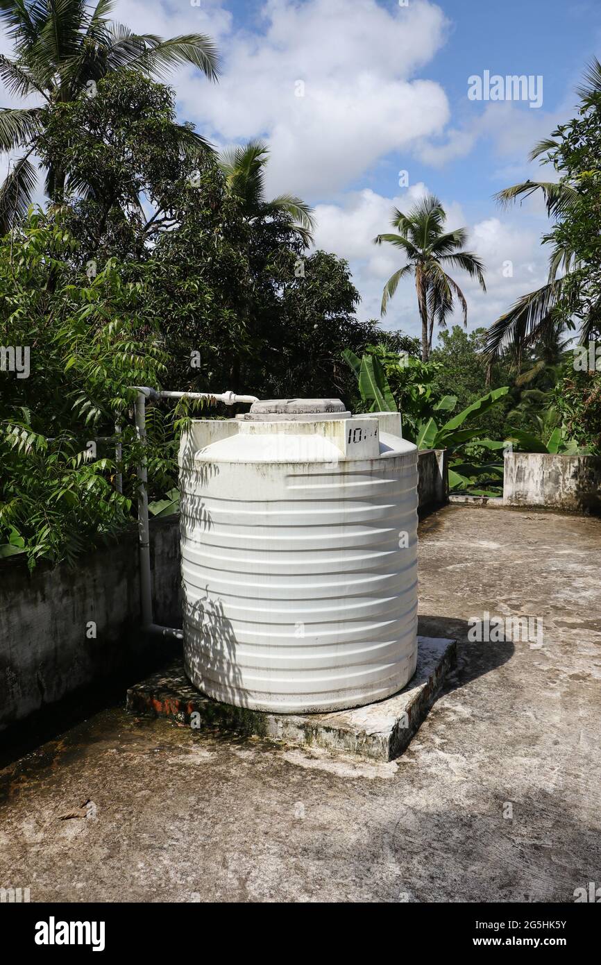 Water storing plant hi-res stock photography and images - Alamy