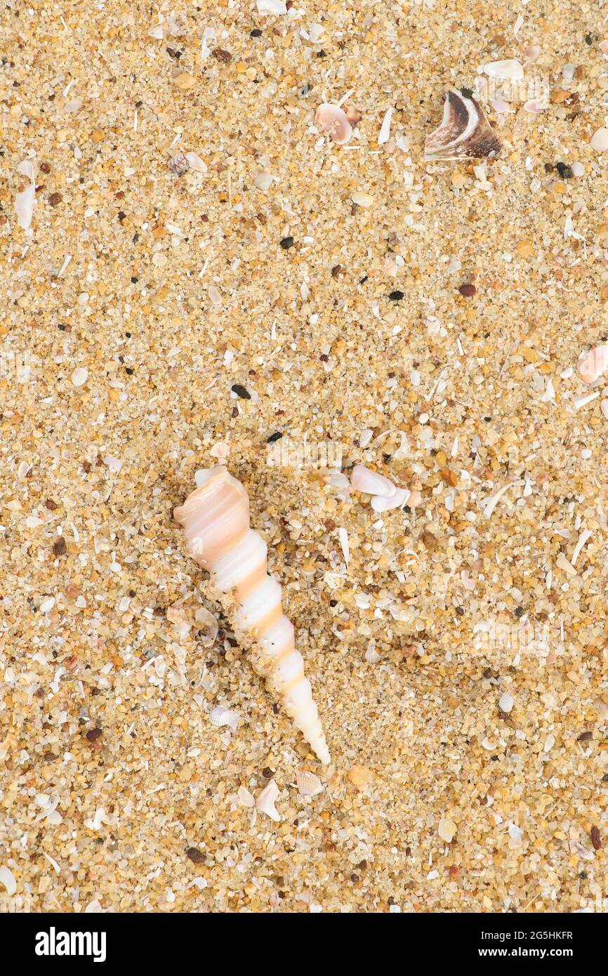 Beach shore clean hi-res stock photography and images - Alamy