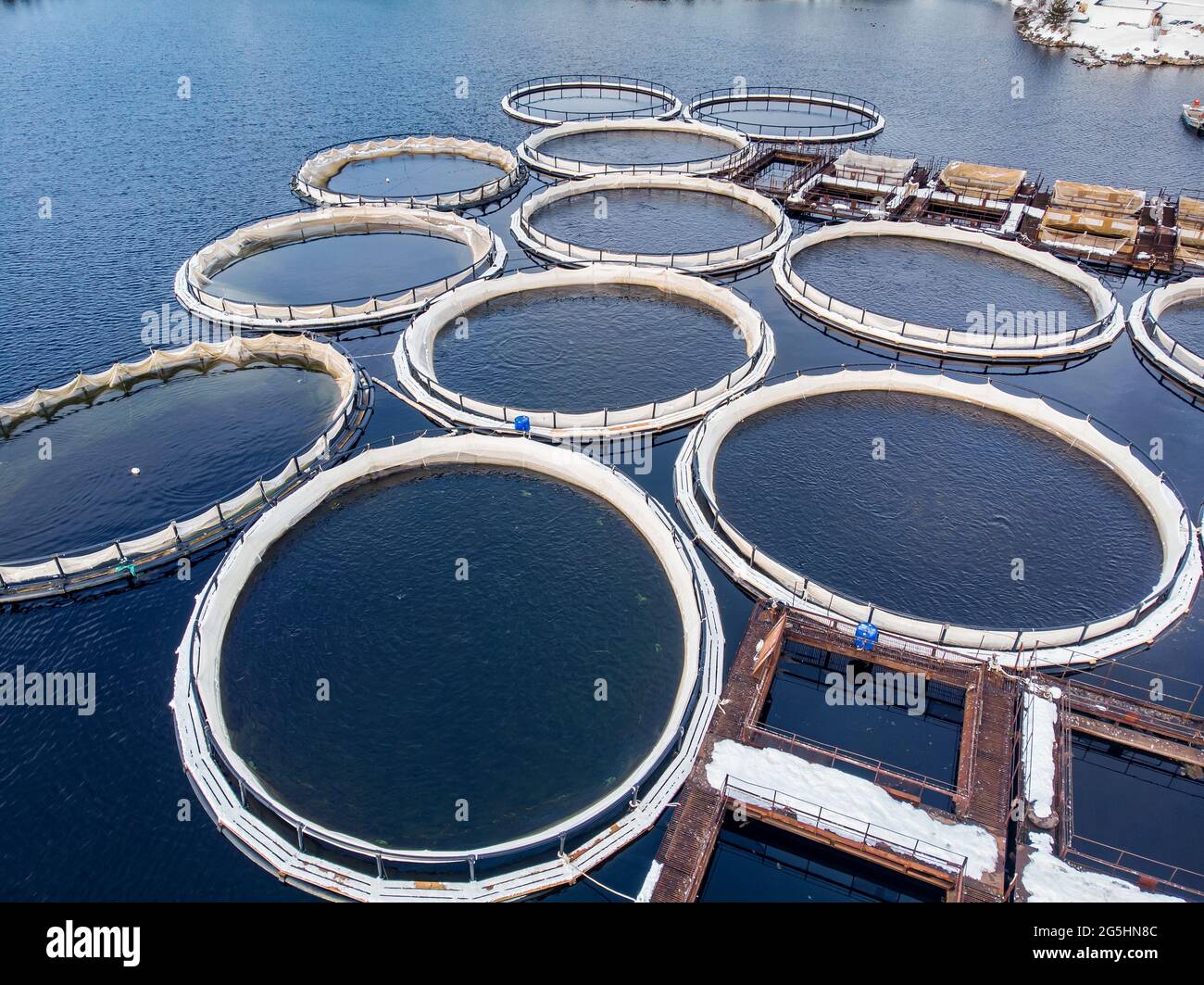 Salmon fish farm aquaculture blue water. Aerial top view Stock Photo ...