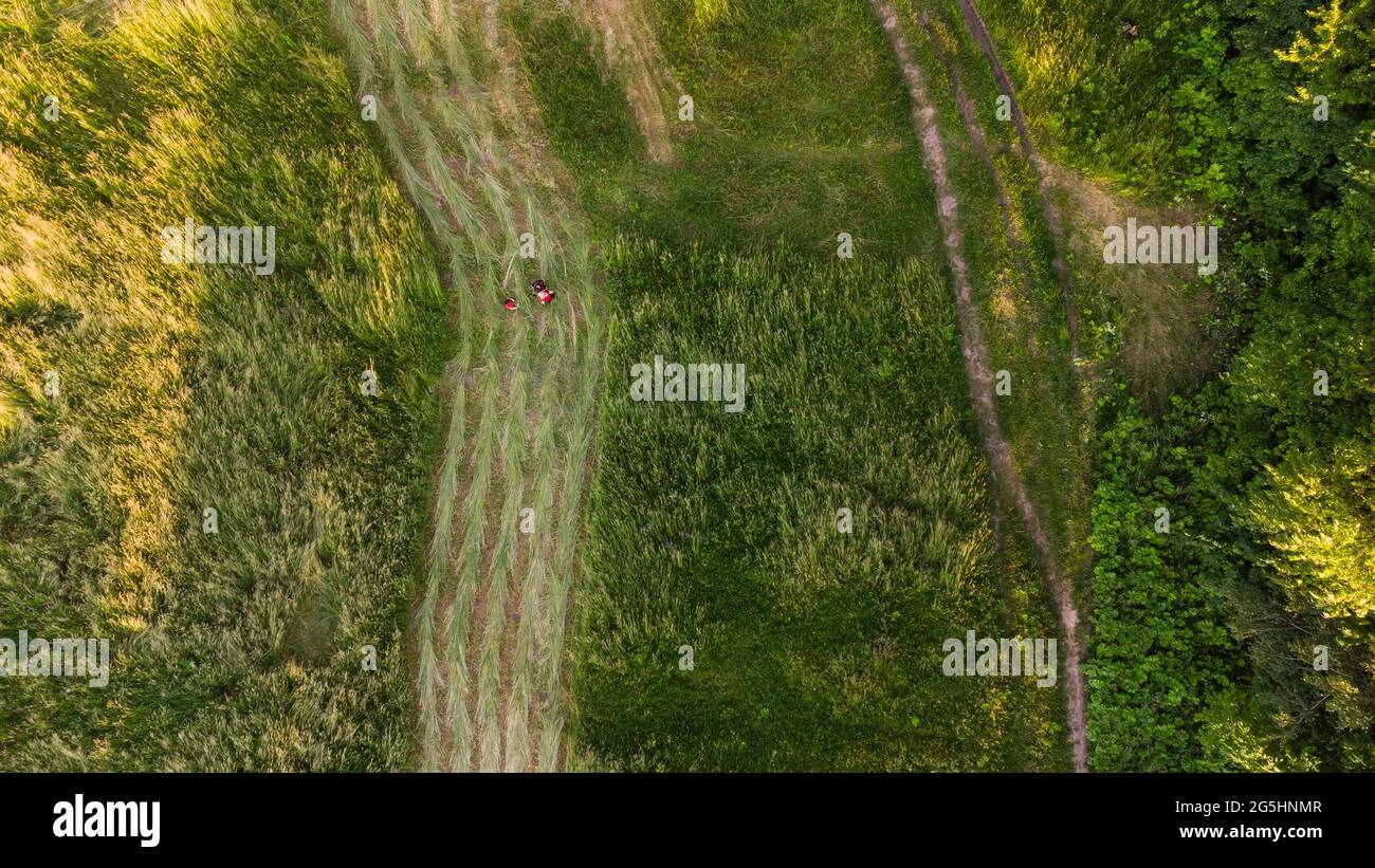 Natural grass texture, Aerial view of park Stock Photo - Alamy