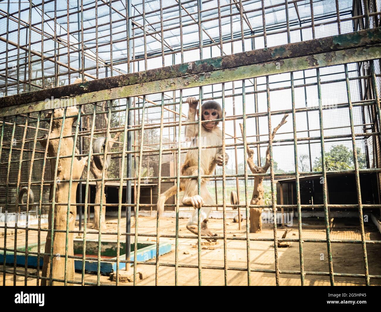 Zoo cage bars hi-res stock photography and images - Alamy